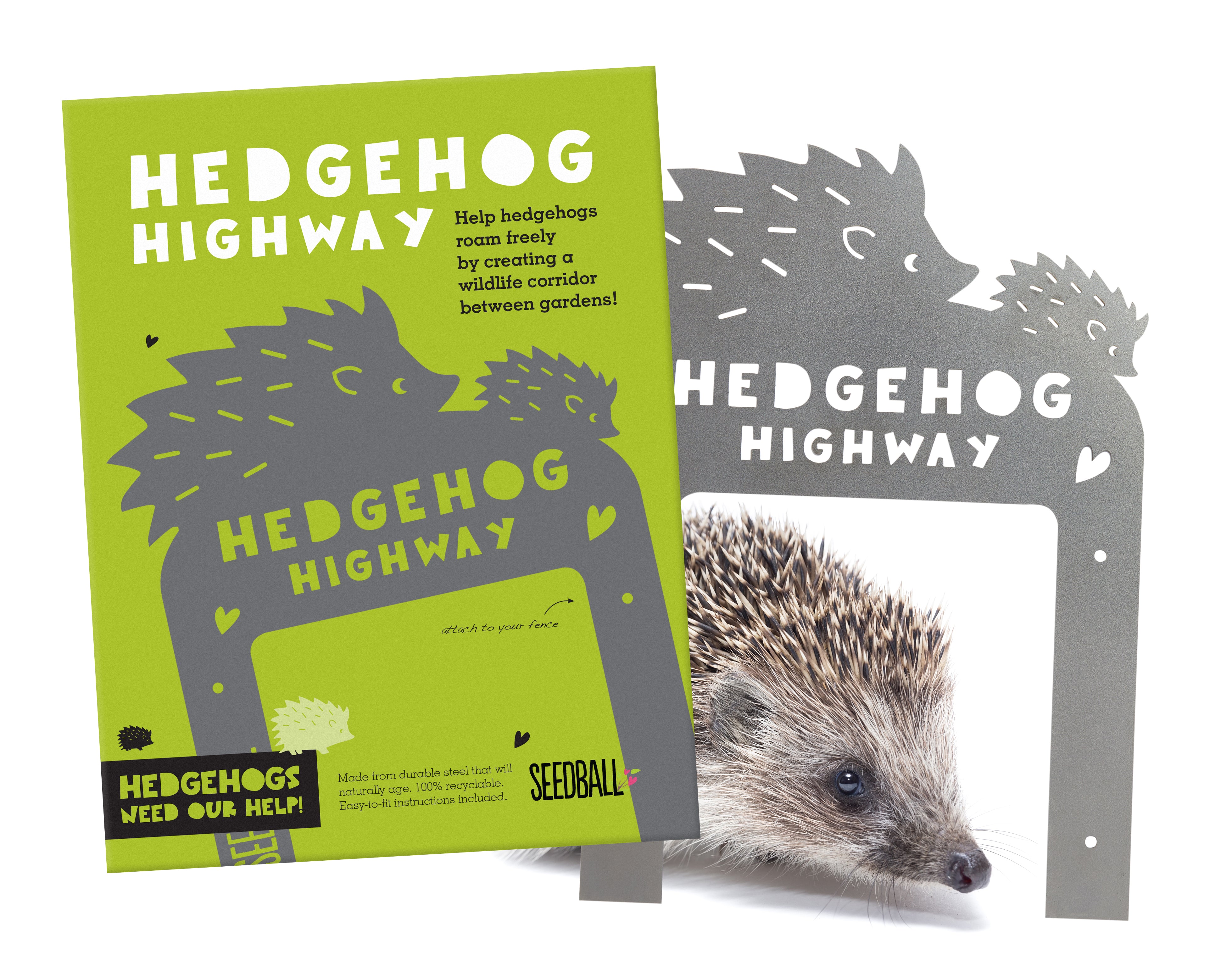 Hedgehog Highway | Fence Opening For Hedgehogs – Bluum Stores